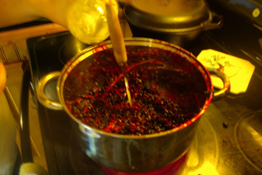 Making Ink From Berries: By Dana Driscoll – The Fruit Nut