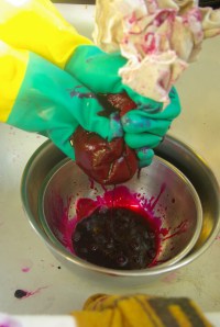 Making Ink From Berries: By Dana Driscoll – The Fruit Nut