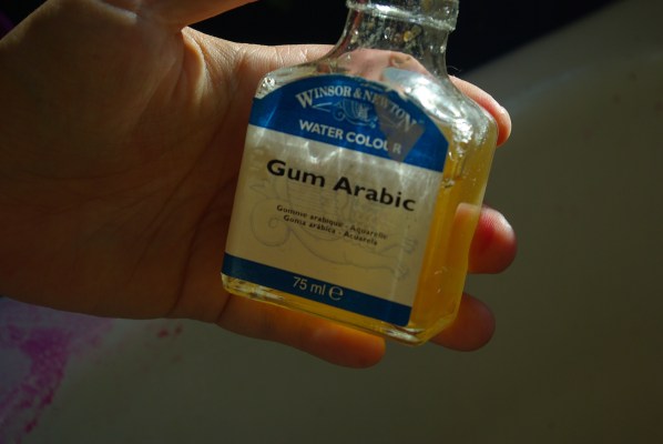 Making Ink From Berries: By Dana Driscoll – The Fruit Nut